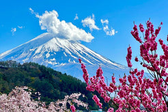 Fuji Go Q