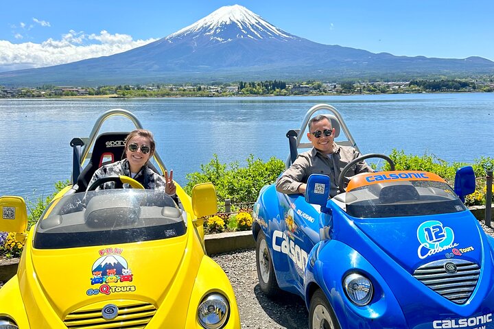 Fuji Go Q