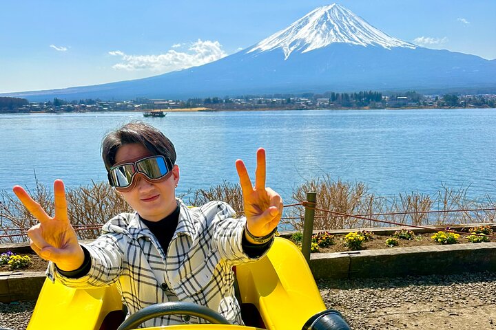 Fuji Go Q